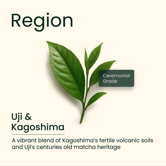 Matcha (AA Ceremonial grade) BARISTA pack, 100g – Heapwell Superfoods