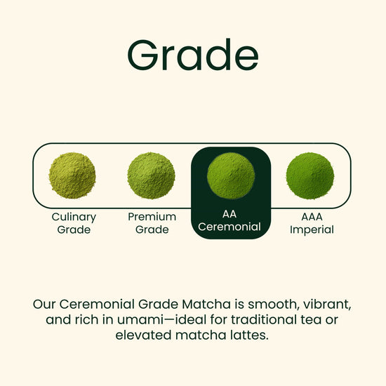 Matcha (AA Ceremonial grade) BARISTA pack, 100g – Heapwell Superfoods